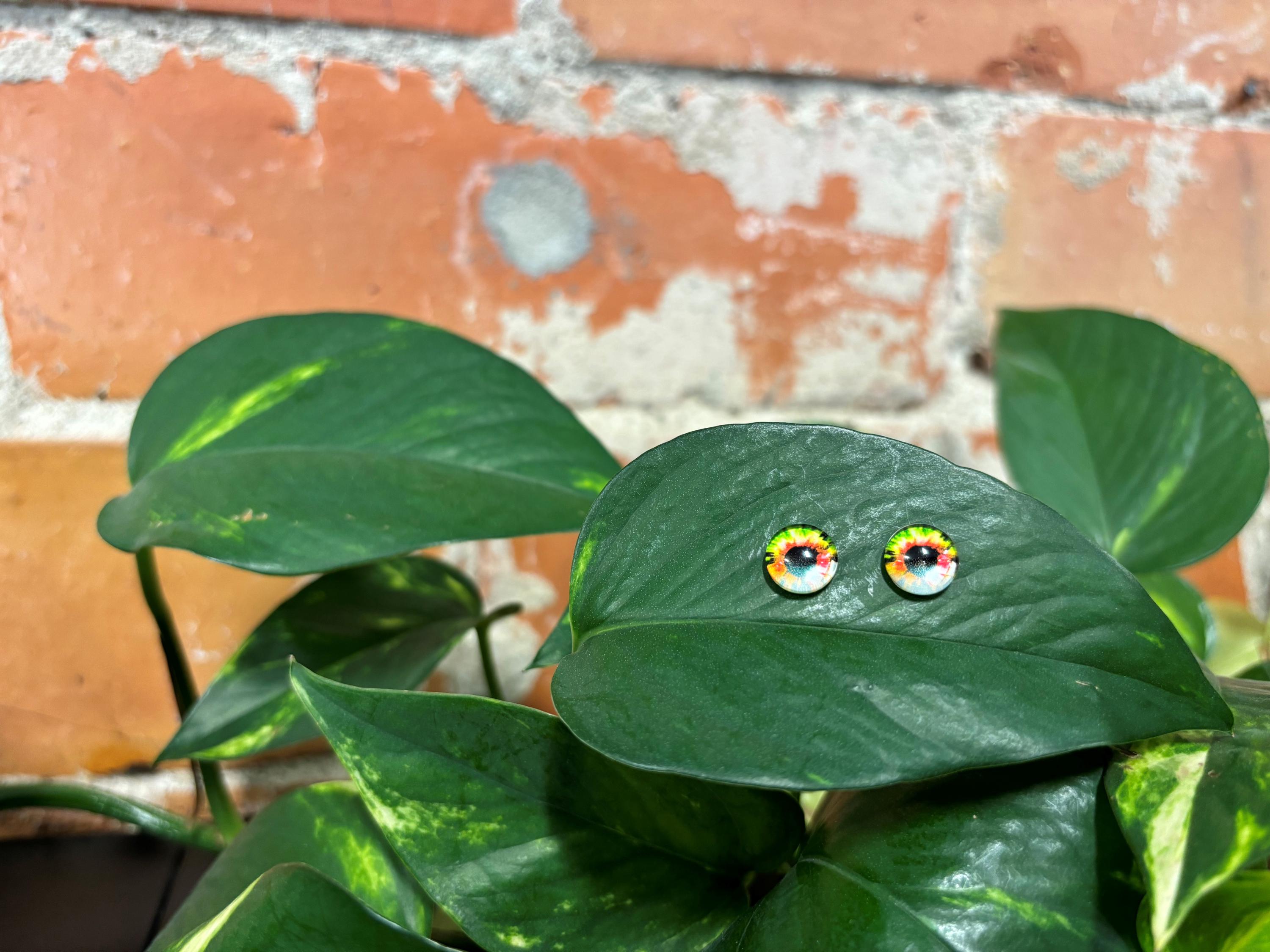 Eyes (3) - Plant Buddies/plant Magnets - Etsy
