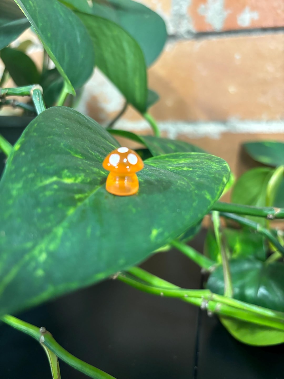 Mushroom Plant Magnet (glow in the Dark): Houseplant Accessory - Etsy
