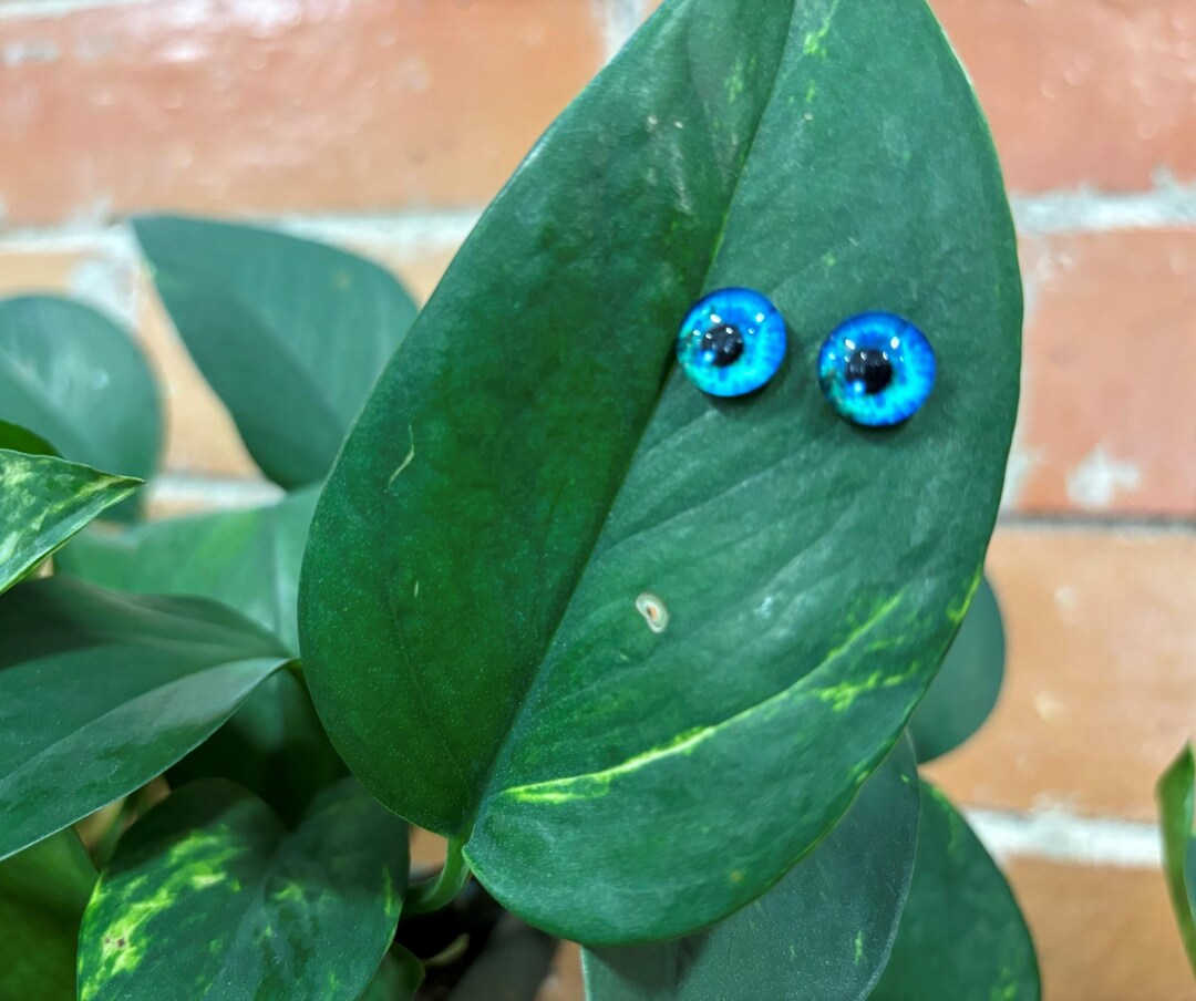 Eyes (1) - Plant Buddies/plant Magnets - Etsy