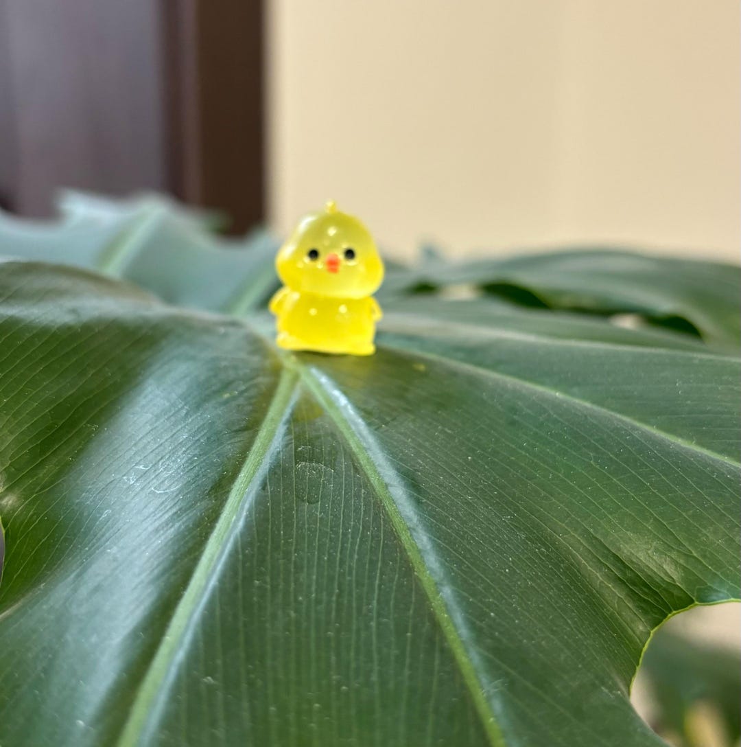 Glow in the Dark Large Chick Plant Magnet - Plant Buddy - Etsy