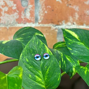 Eyes (3) - Plant Buddies/plant Magnets - Etsy
