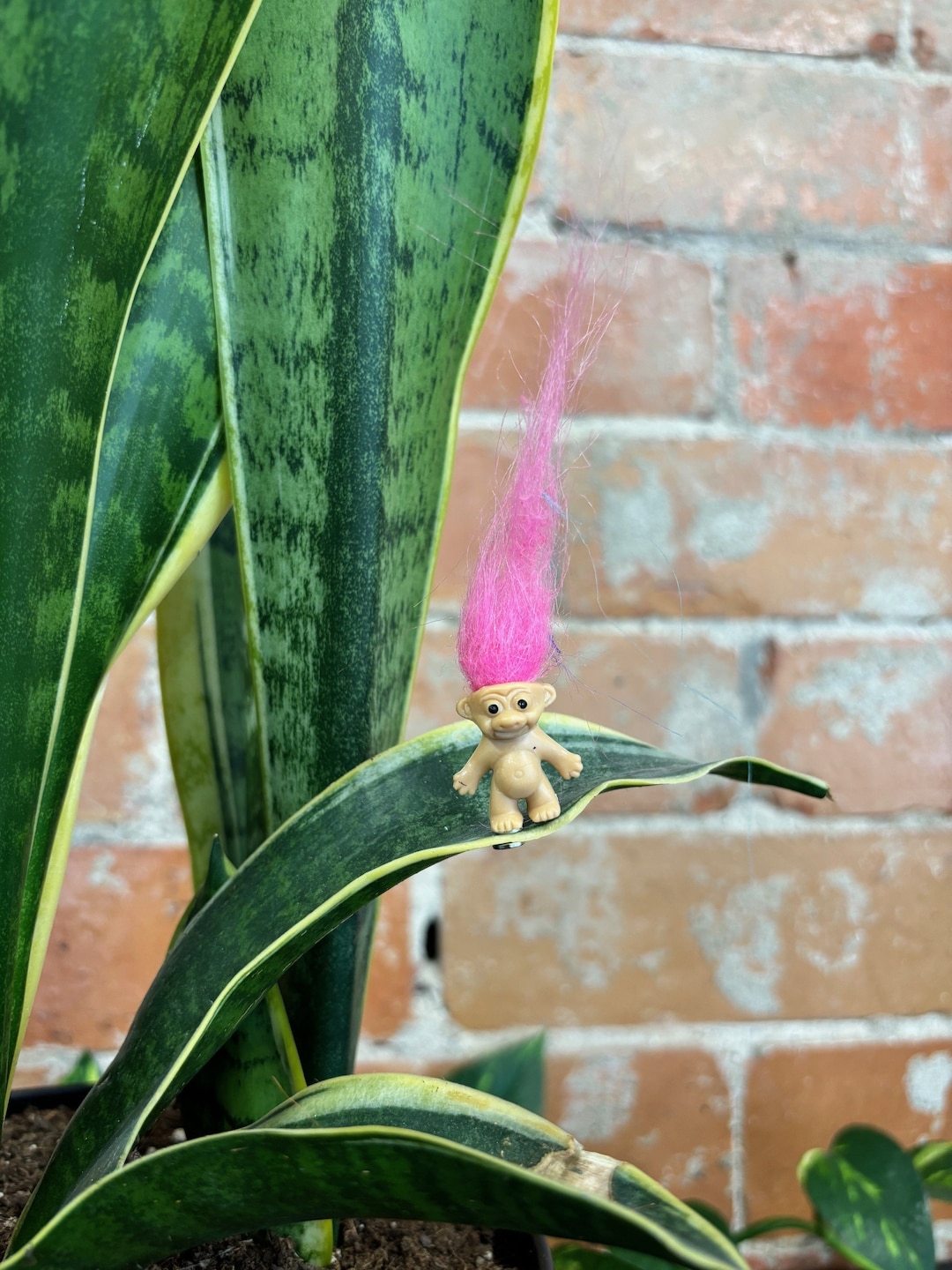 Retro Troll Plant Magnet: Unique Houseplant Accessory - Etsy