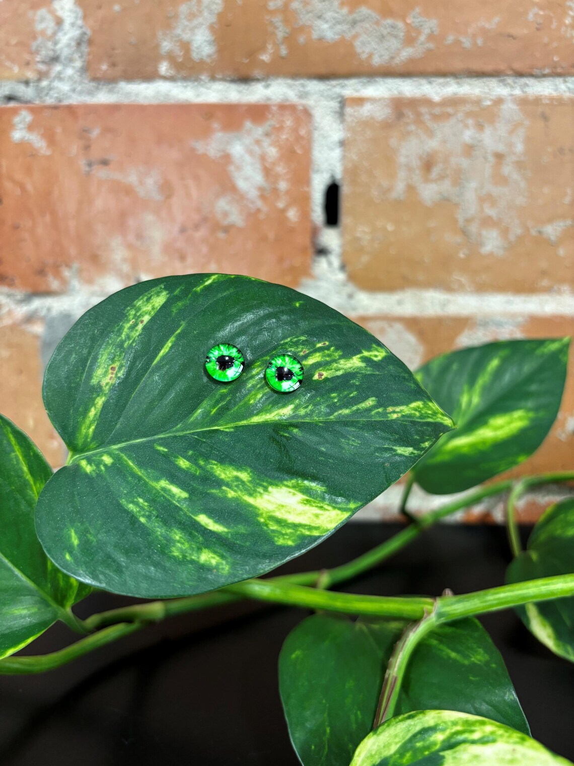 Eyes (3) - Plant Buddies/plant Magnets - Etsy
