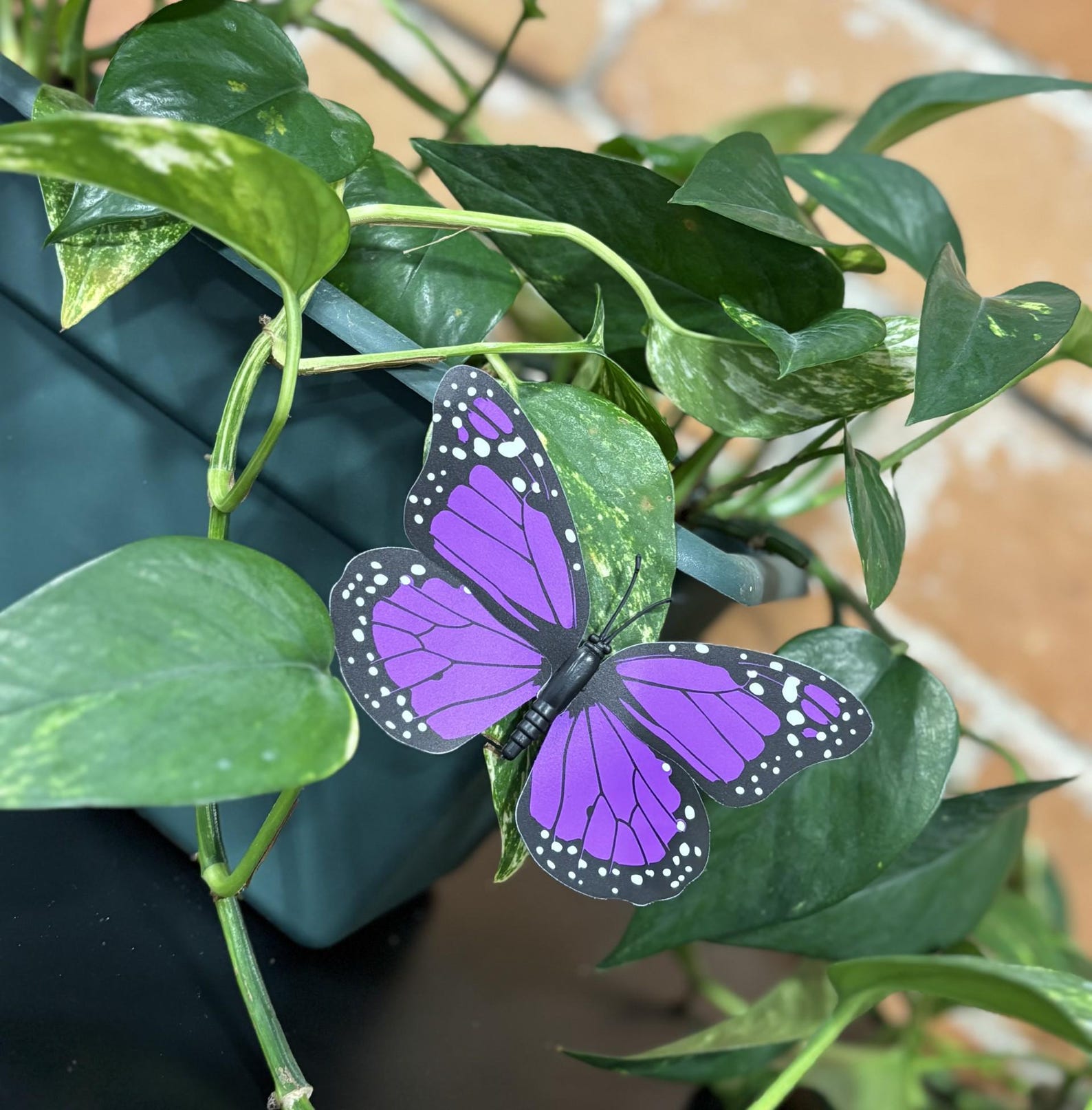 Purple Monarch Butterfly Plant Magnet: Fun Houseplant Accessory - Etsy
