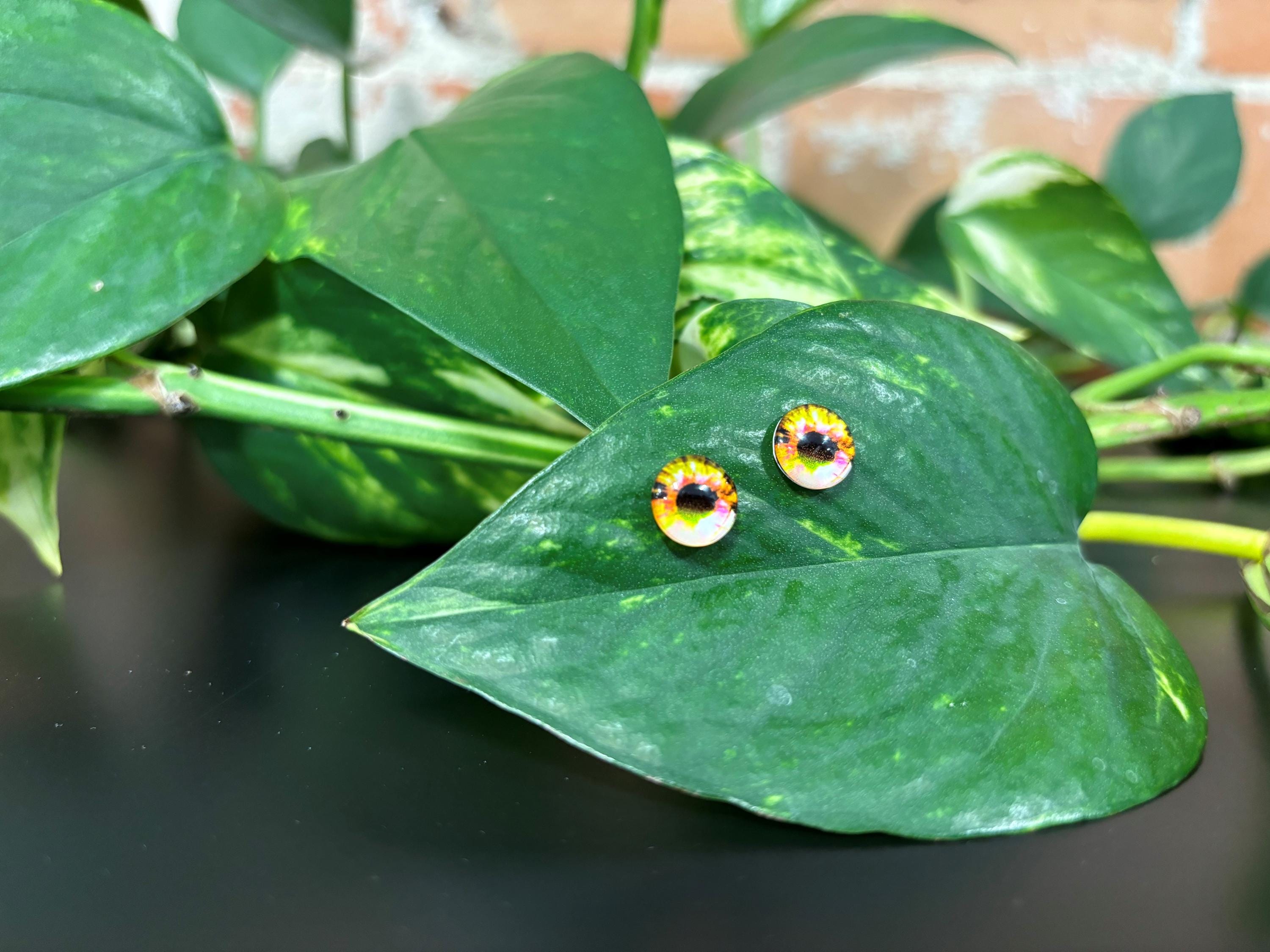 Eyes (3) - Plant Buddies/plant Magnets - Etsy