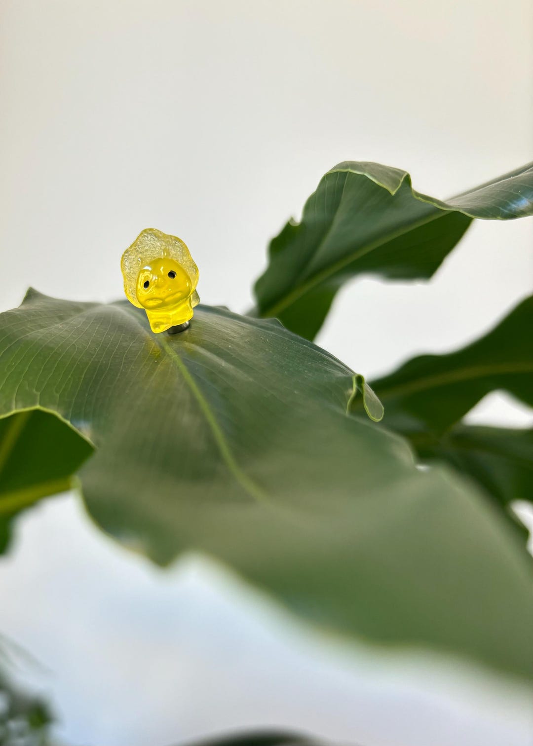 Glow in the Dark Dinosaur Plant Magnet: Fun Houseplant Decor - Etsy