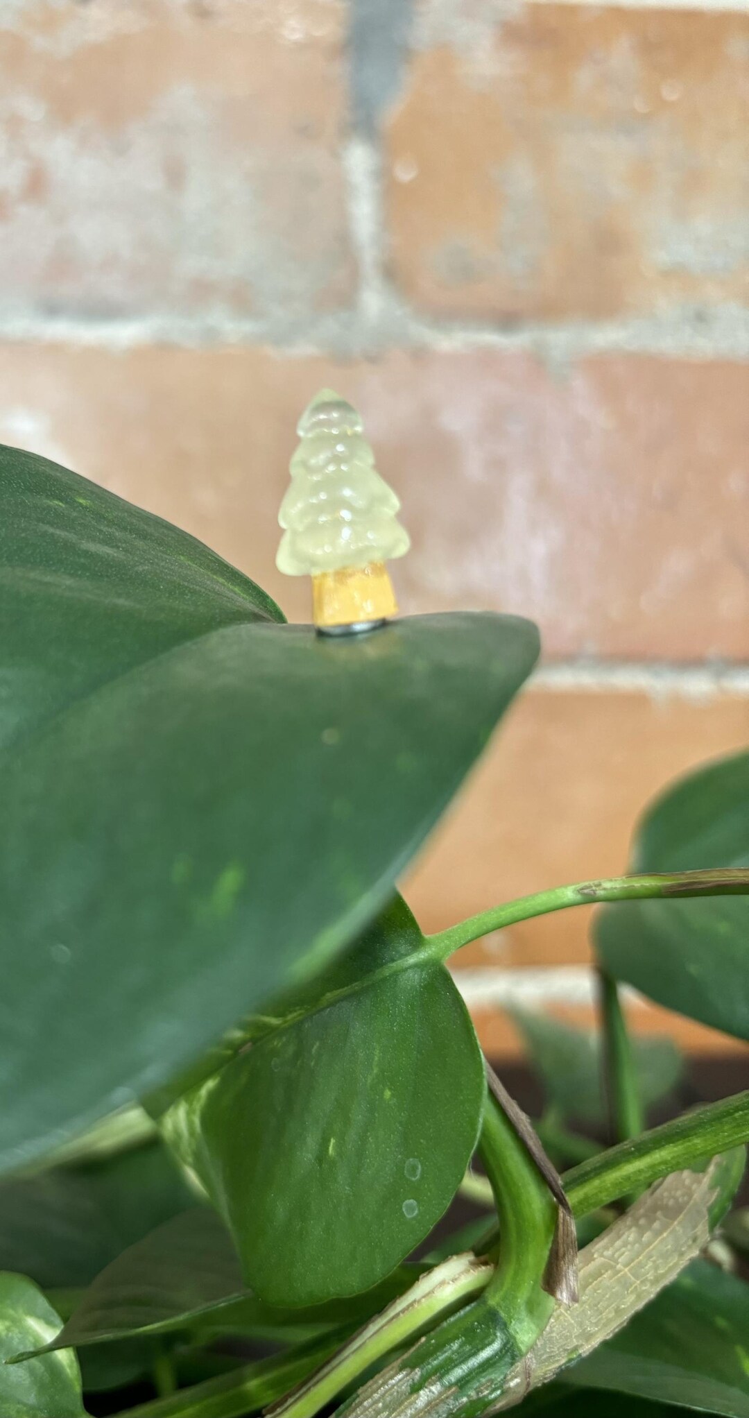 Tree (glow in the Dark) - Plant Buddies/plant Magnets- Plant Friends ...