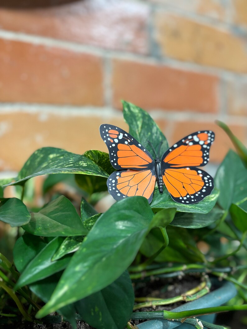 Monarch Butterfly Plant Magnet: Fun Houseplant Accessory - Etsy