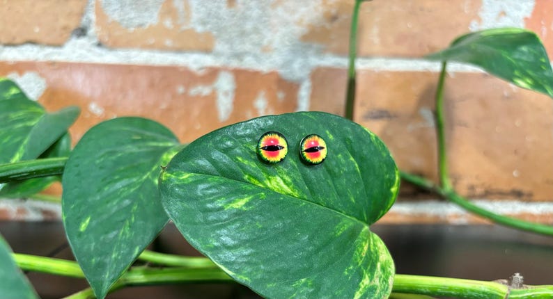 Eyes (3) - Plant Buddies/plant Magnets - Etsy