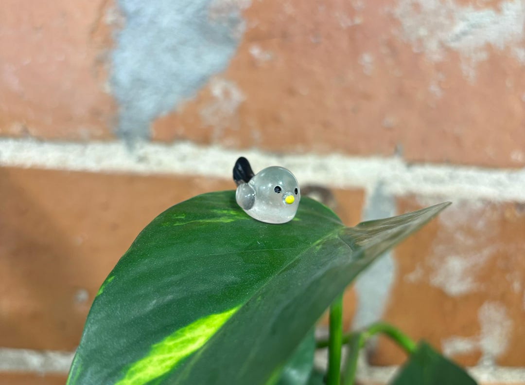 Bird Plant Magnet Glow in the Dark: Plant Buddy - Etsy
