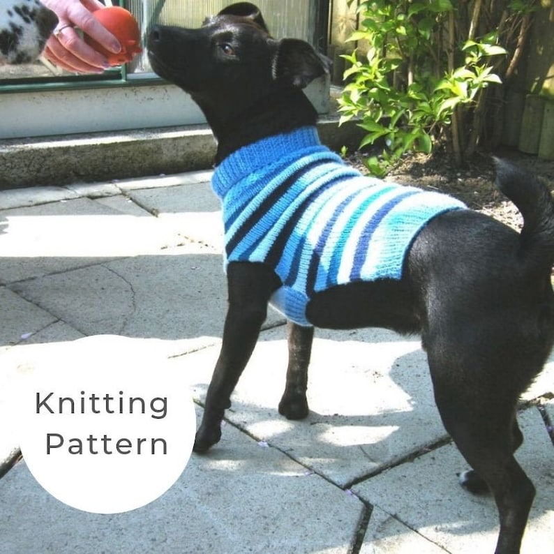 Dog Sweater Knitting Pattern, Dog Sweater Pattern, Stripe Dog Sweater ...