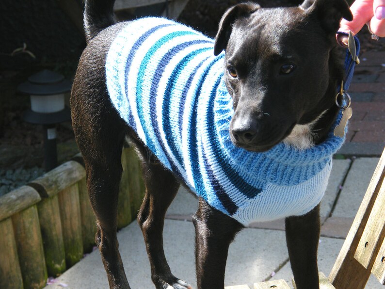 Dog Sweater Knitting Pattern Dog Sweater Pattern Stripe Dog - Etsy