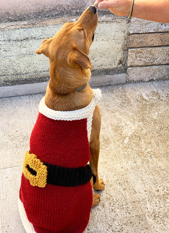 Santa Claus Dog Sweater Knitting Pattern, Dog Sweater Knitting Pattern ...