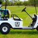 Custom Golf Cart Vinyl Decal, Custom Player Golf Cart Sticker Decal - Etsy