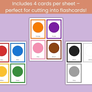 Printable Flashcards Teaching Colors for Homeschool Activity Learning ...
