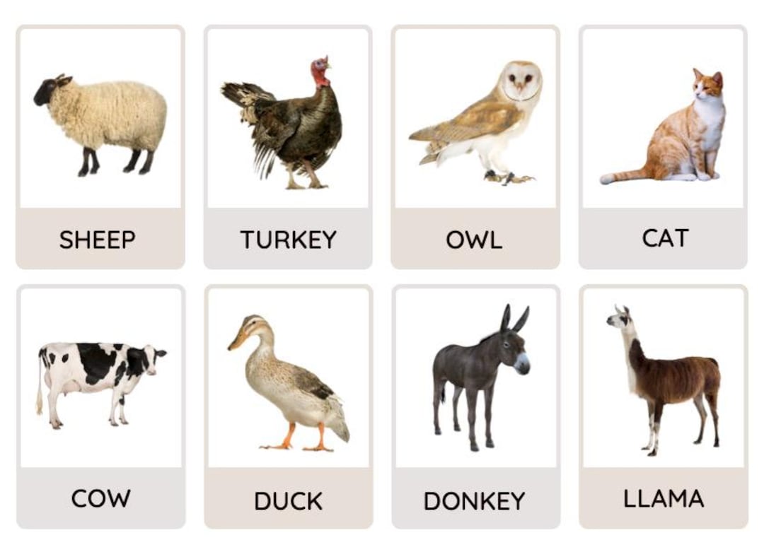 Farm Animals Flashcards - Etsy