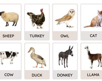 Farm Animals Montessori 3-part Cards (REAL IMAGES) | Farm Vocabulary ...