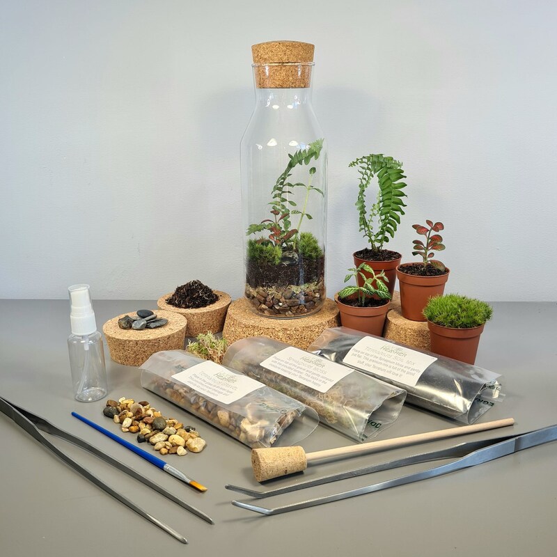 Terrarium Kit - Etsy UK
