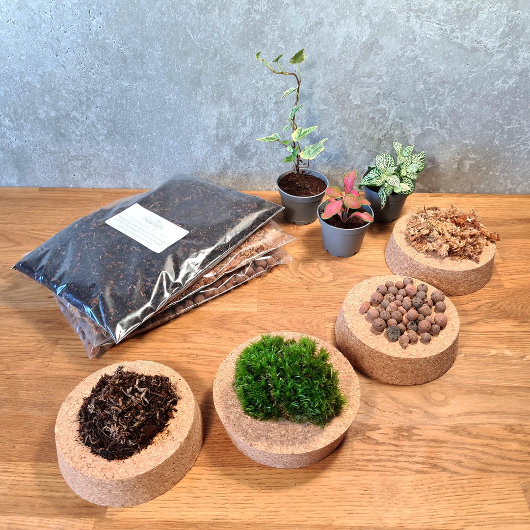 DIY Terrarium Components With Plants Bun Moss, Premium Substrate ...