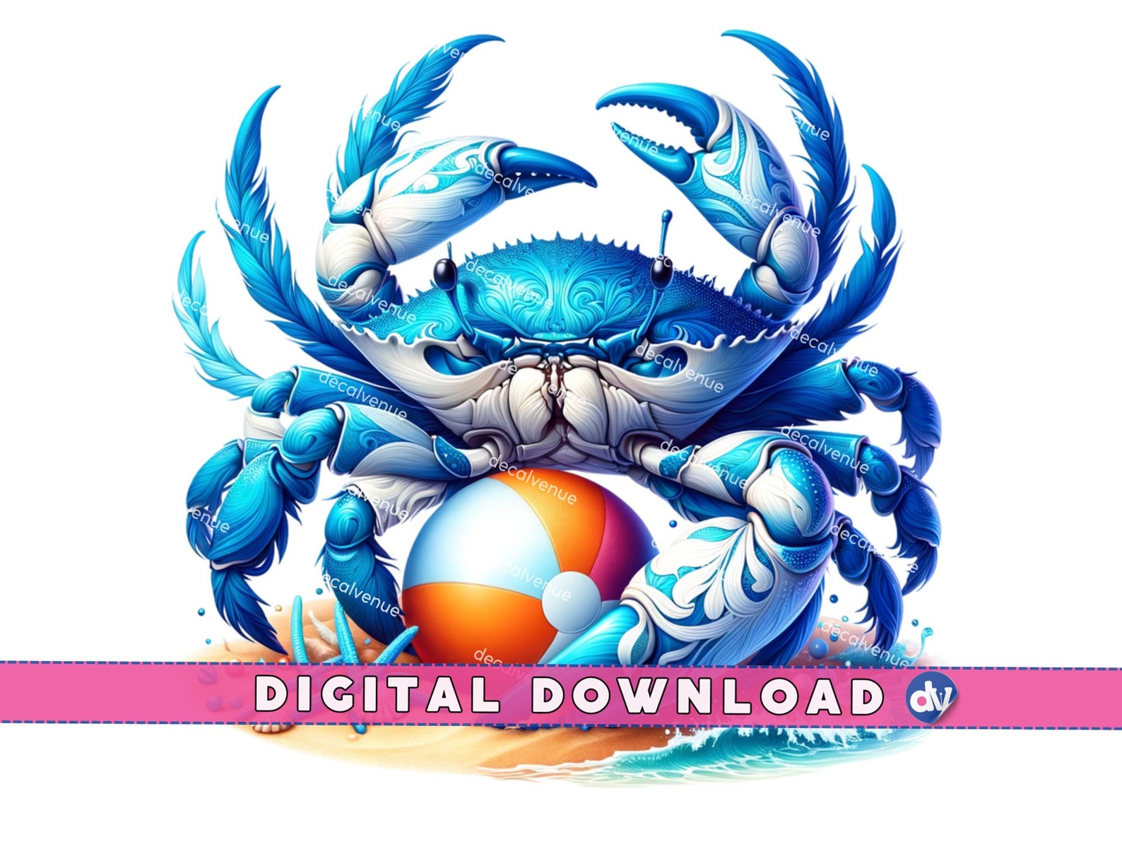 Blue Sand Crab With Beach Ball PNG - Summer Clipart (digital Download ...