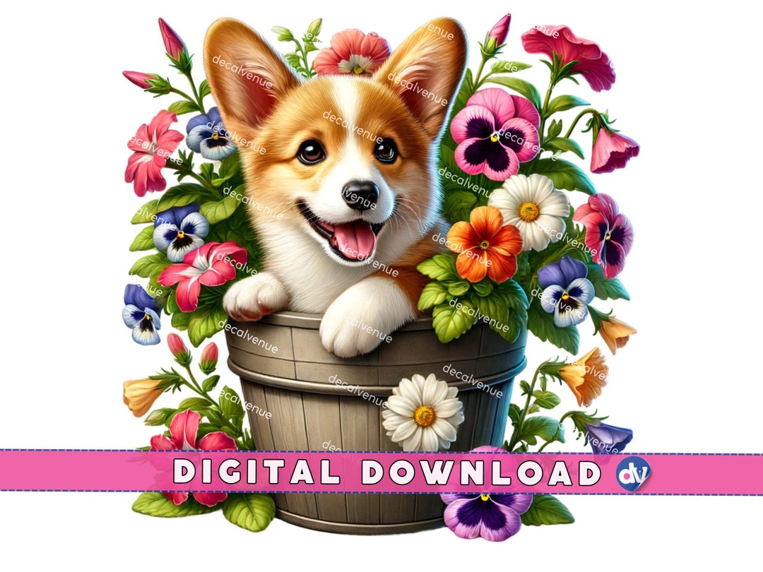 Corgi Dog Peeking Out of Flower Pot PNG Digital Download Clipart ...