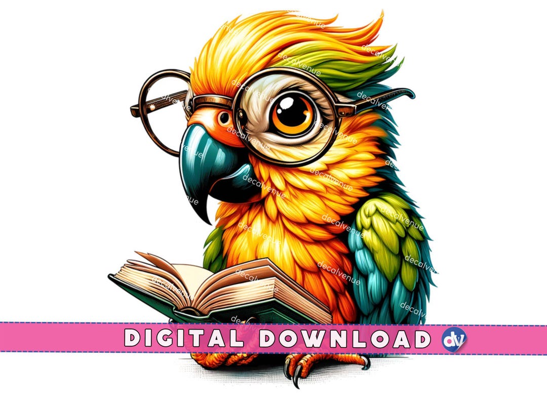 Parrot Reading Book PNG: Colorful Bird Clipart (digital Download) - Etsy UK