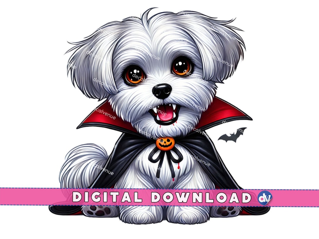 Vampire Maltese Dog With Fangs PNG Digital Download Clipart Printable ...