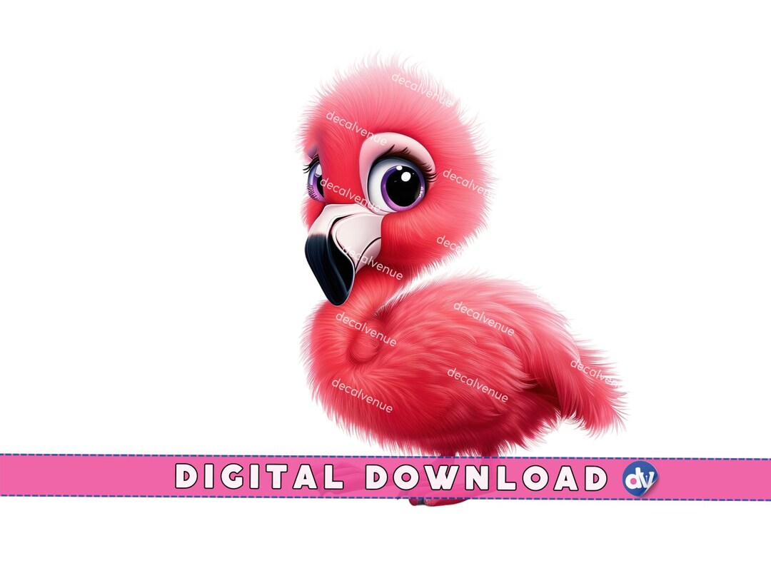 Cute Baby Flamingo Clipart, Baby Bird Illustration, PNG Digital ...