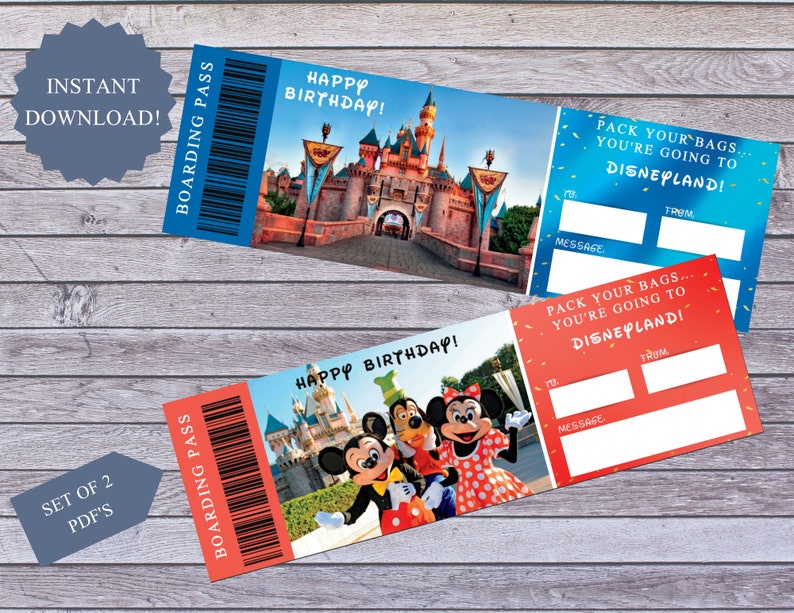 Birthday Anaheim Theme Park Mickey Surprise Visit Trip Holiday Vacation ...