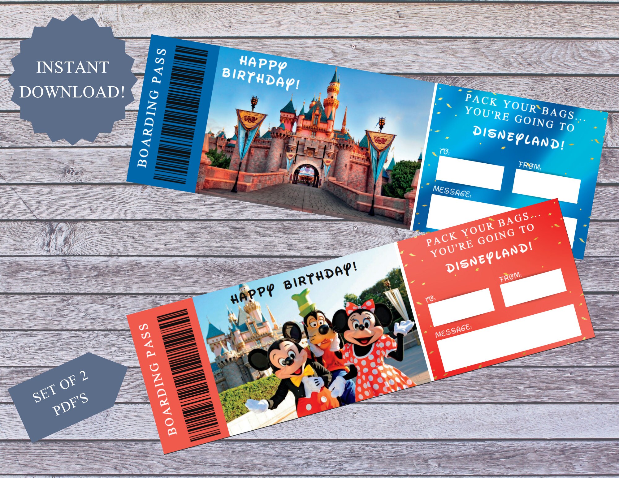 Birthday Anaheim Theme Park Mickey Surprise Visit Trip Holiday Vacation ...