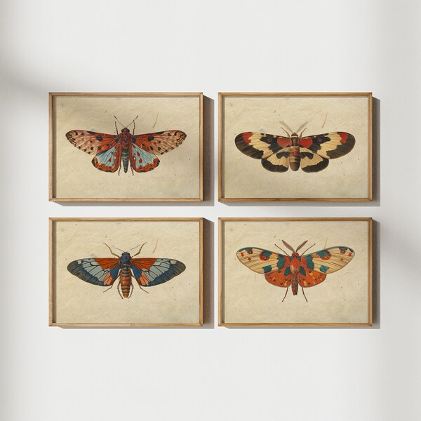 Moth Print - Etsy