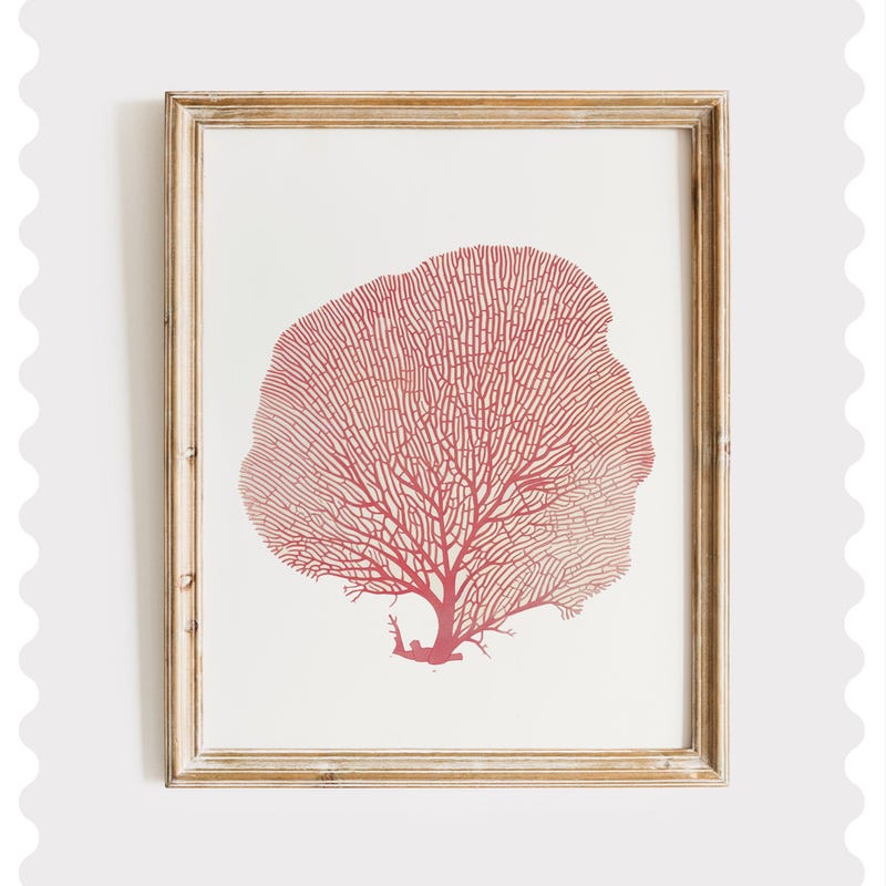 Red Sea Fan - Etsy