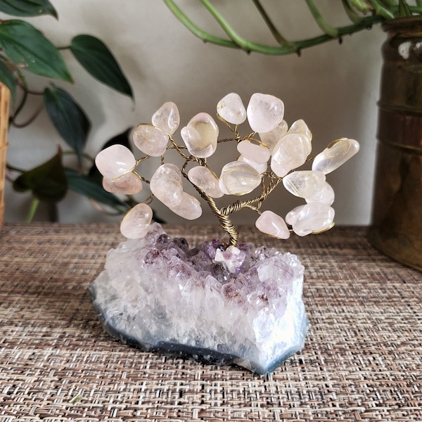 Amethyst Money Tree - Etsy