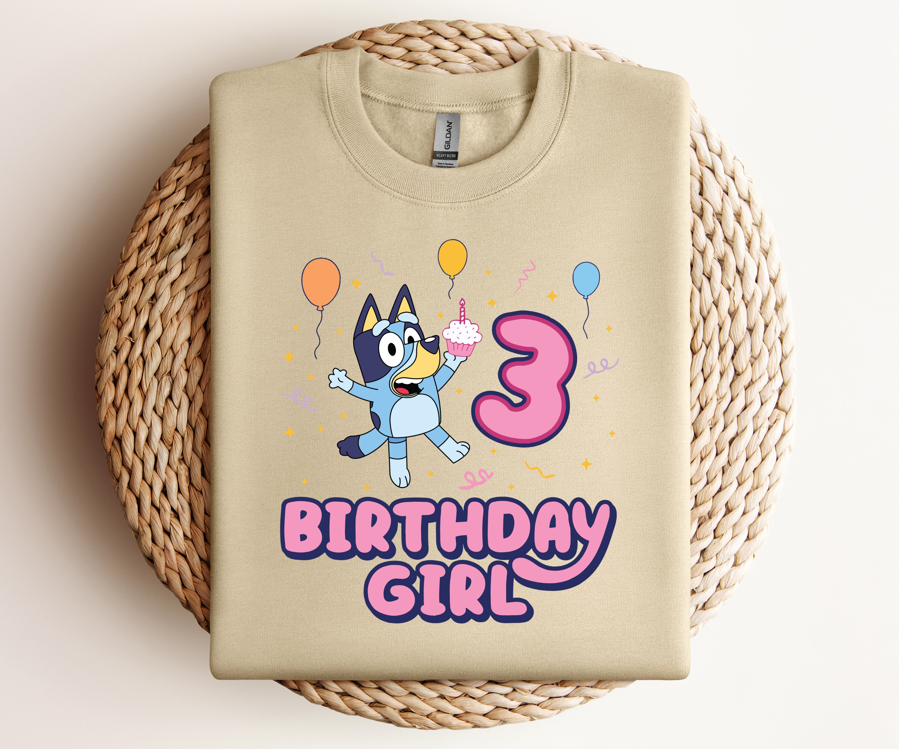 Bluey 3rd Birthday T-shirt, Bluey Birthday Girl Tee, Bluey Party Tshirt, Girl's Bluey Dog Party ...