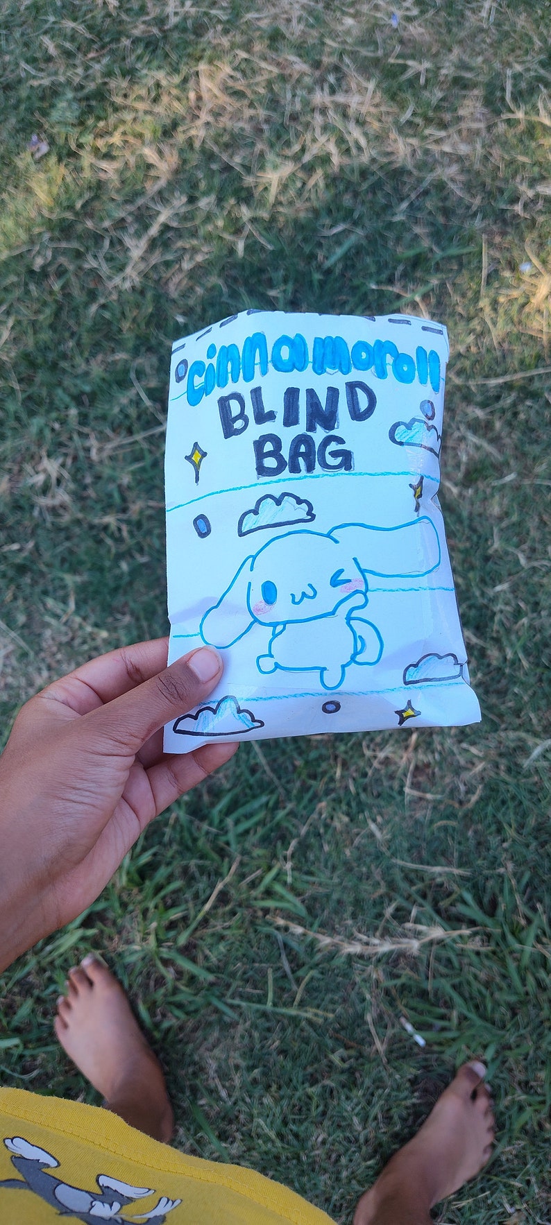 Cinnamoroll Blind Bag - Etsy