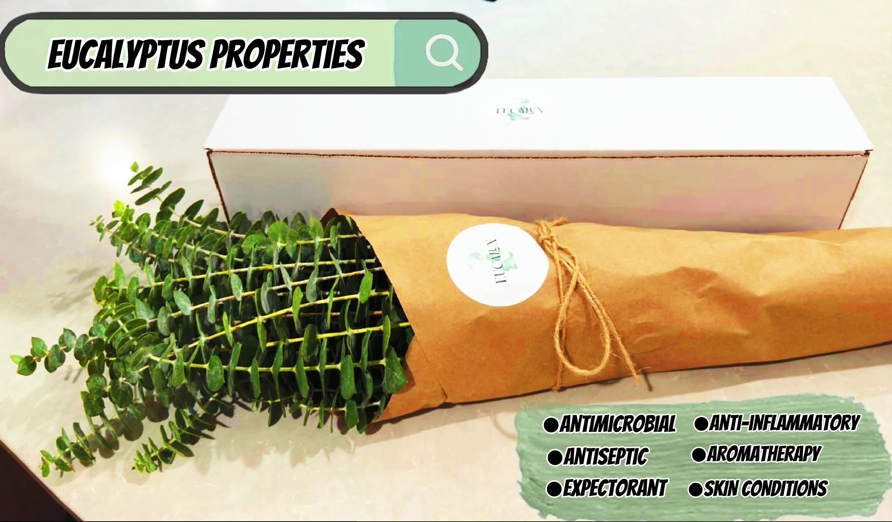 Eucalyptus Shower Bundle Fresh 17 Large Bundle Ideal for Shower Hanging ...