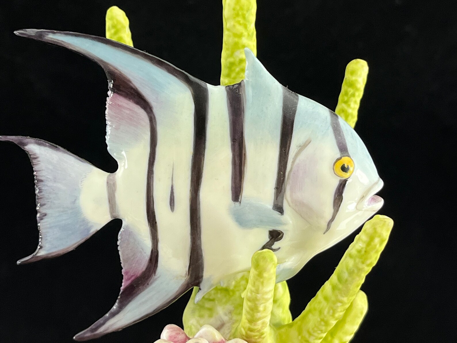 Royal Worcester Fish Figurine - Spade Fish With Coral 3579, R. Van ...