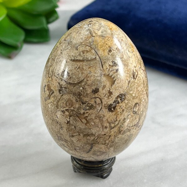 Fossil Stone - Etsy