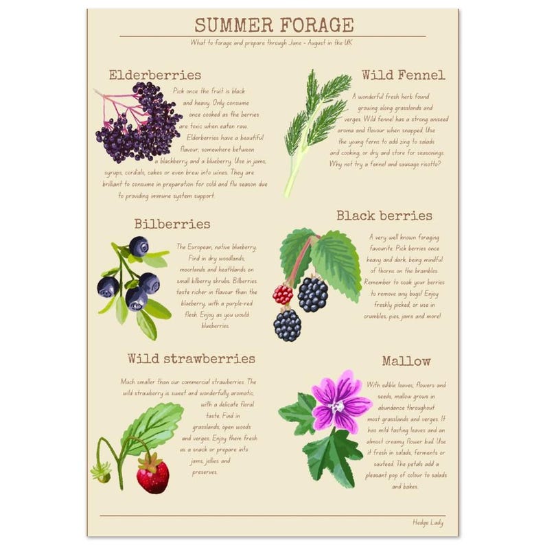 Summer Forage Poster A4 - Etsy