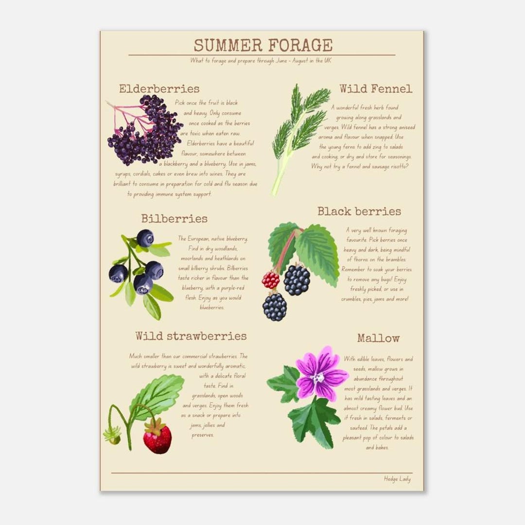 Summer Forage Poster A4 - Etsy