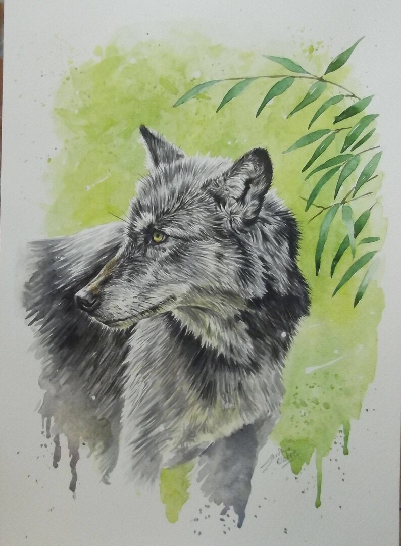 Lobo Pintura original de acuarela - Etsy México