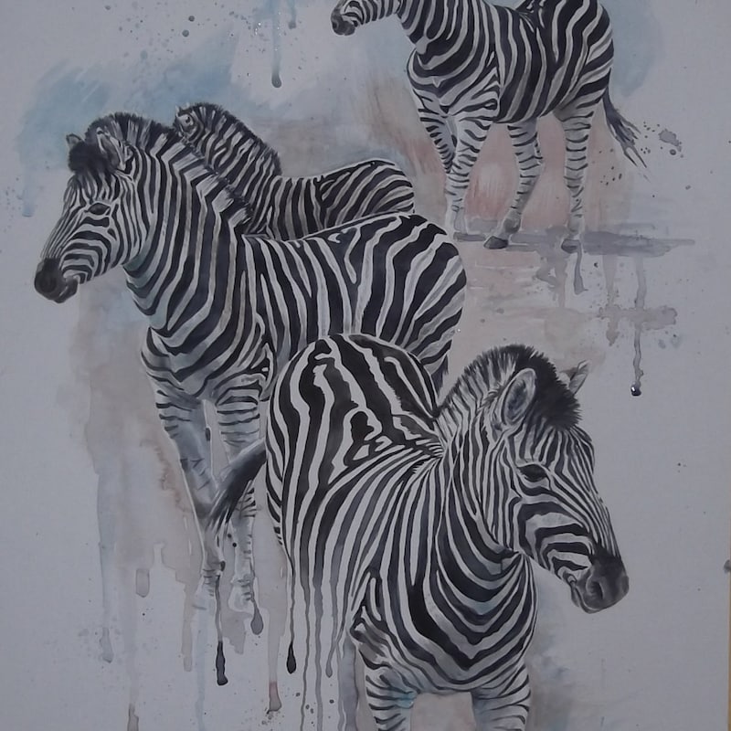 Zebra Watercolor - Etsy