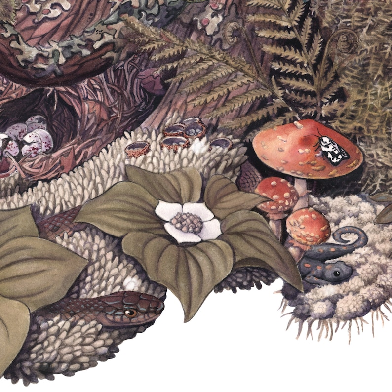 Stump no Text Signed Poster 18x24 - Etsy