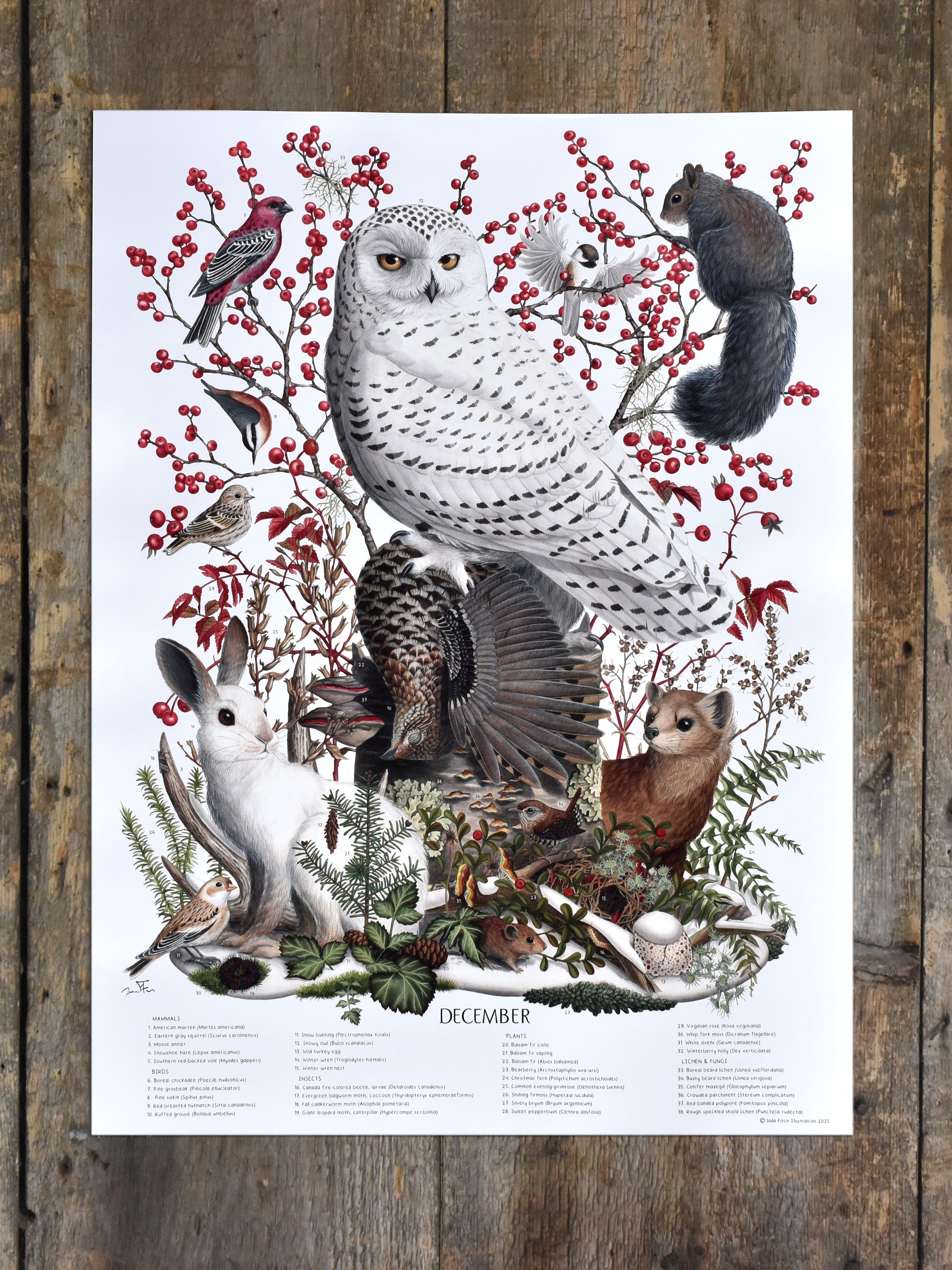 DECEMBER, Signed Poster 18x24" - Etsy