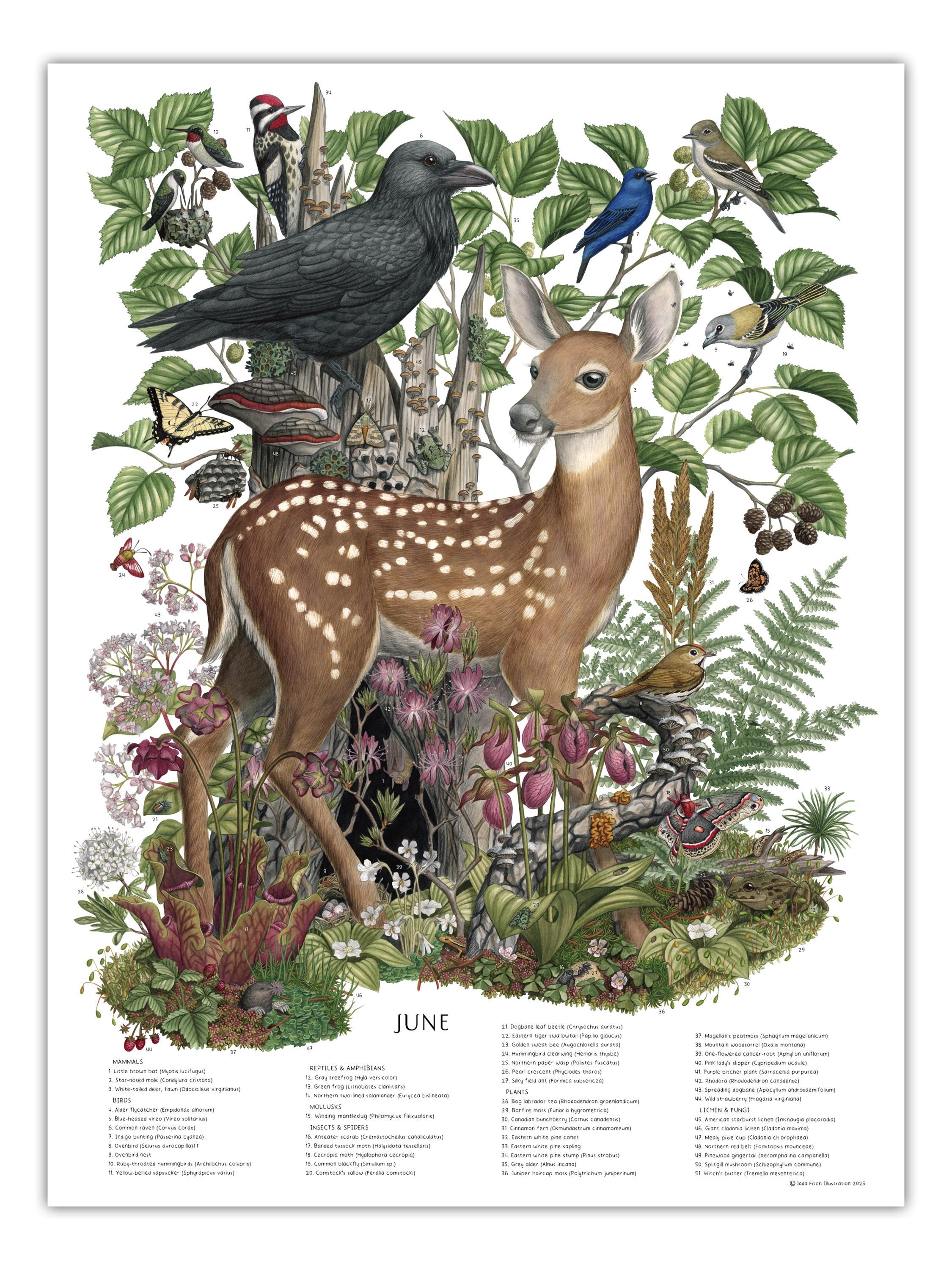 JUNE, Signed Poster 18x24" - Etsy