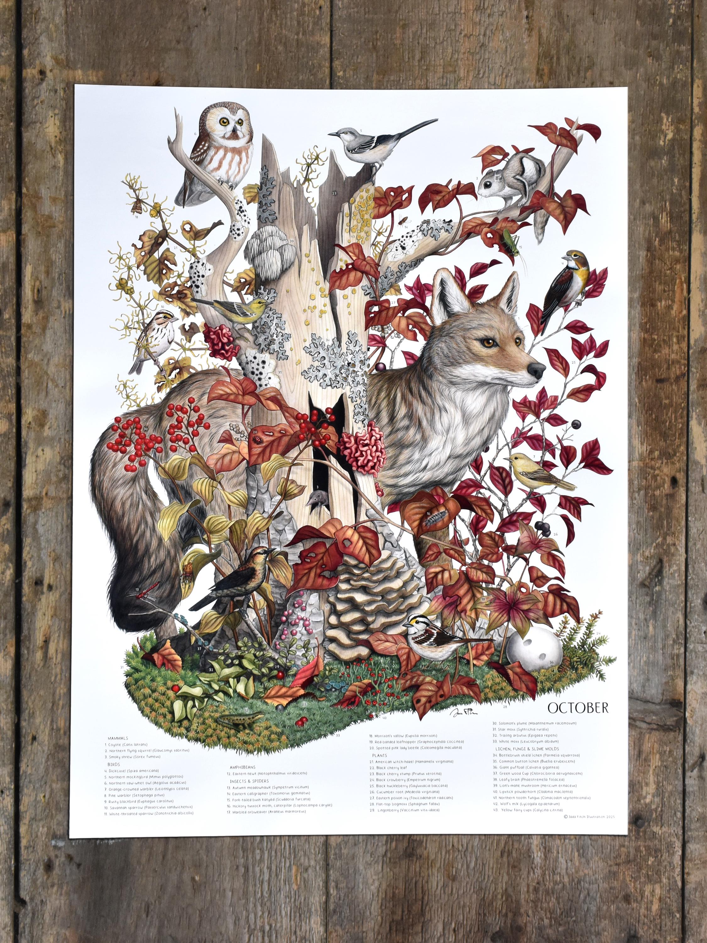 OCTOBER, Signed Poster 18x24" - Etsy