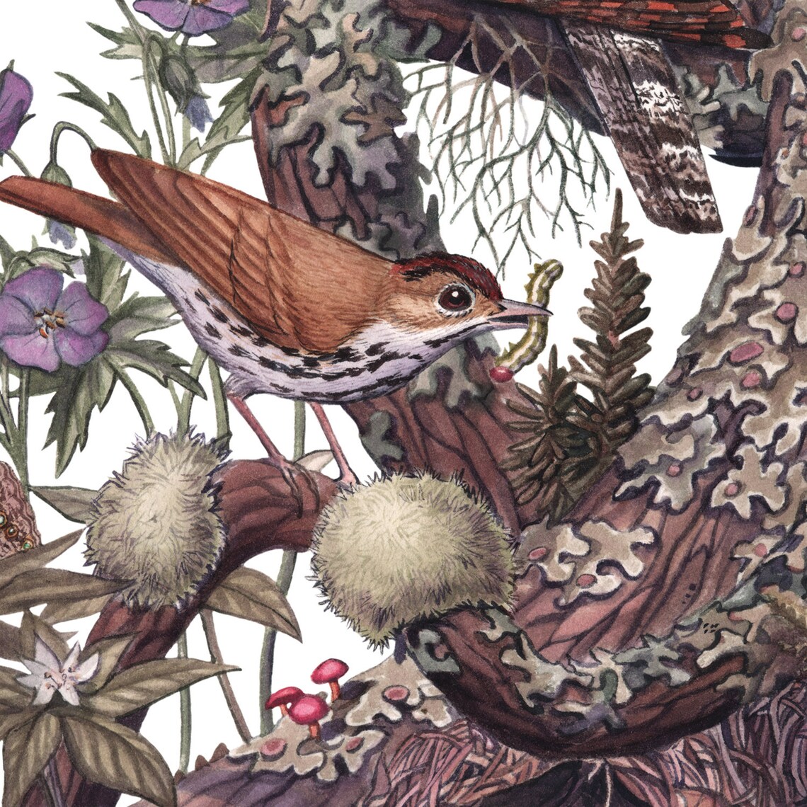 Stump no Text Signed Poster 18x24 - Etsy