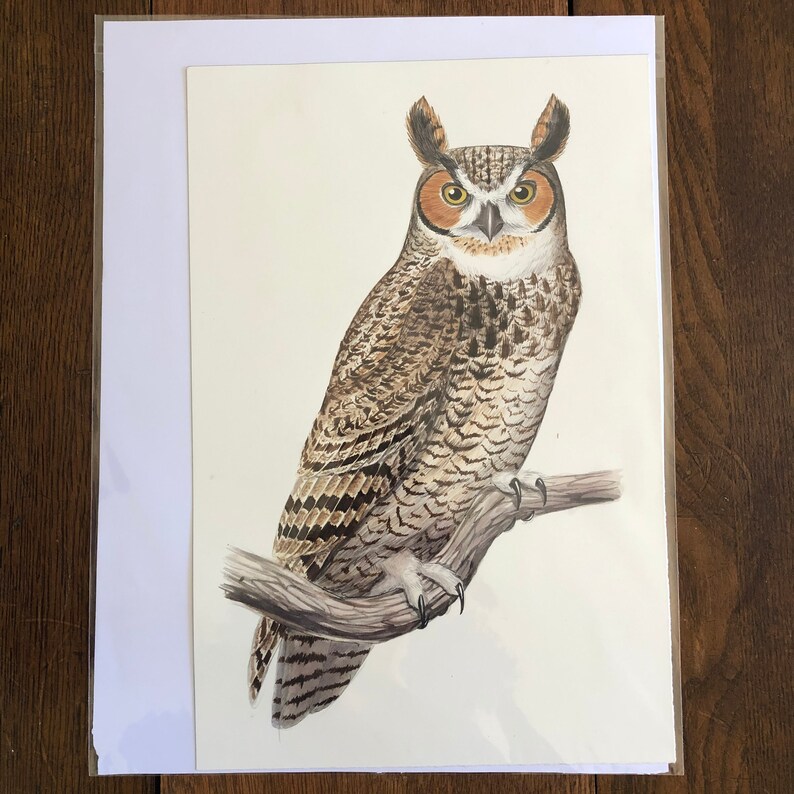 Great Horned Owl original Watercolor - Etsy