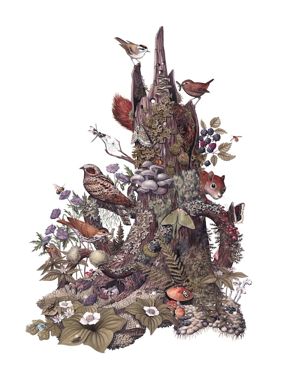 Stump no Text Signed Poster 18x24 - Etsy