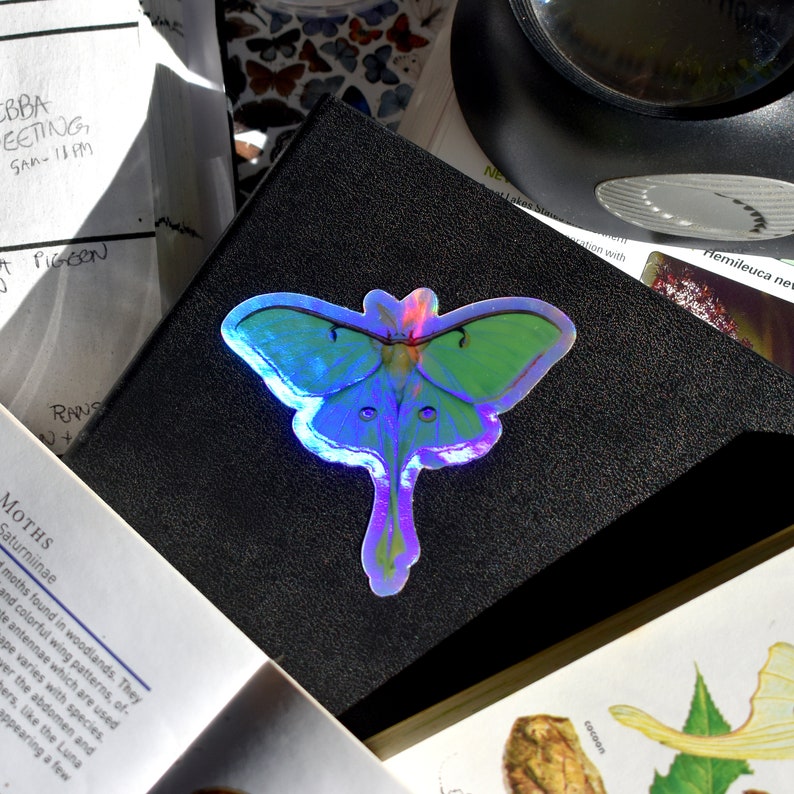 Holographic Luna Moth Sticker - Etsy